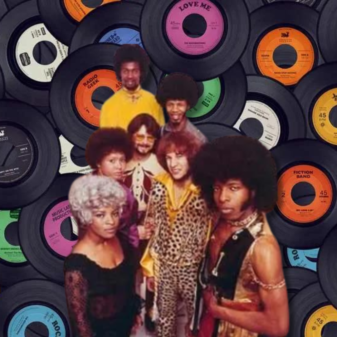 Artist Spotlight Sly and the Family Stone – Ireland Vinyl