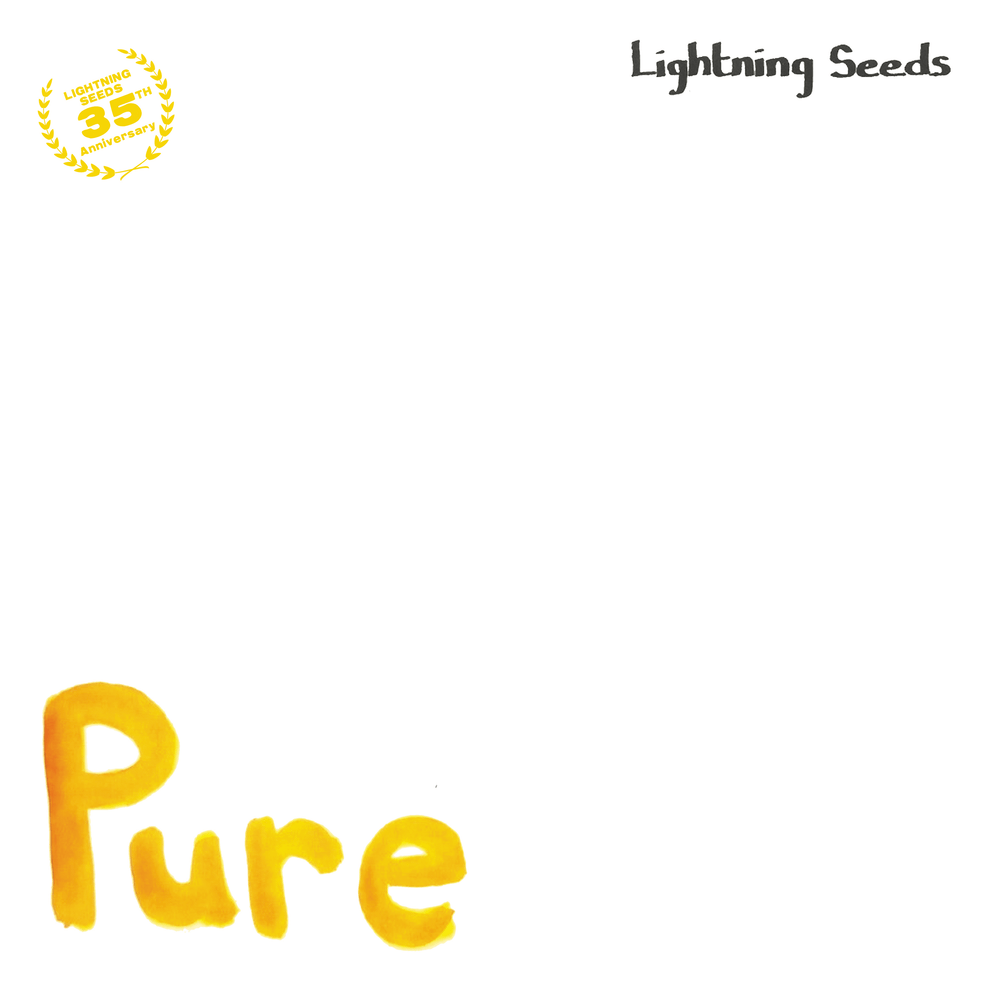 Lightning Seeds All I Want / Pure Record Store Day VINYL – Ireland Vinyl